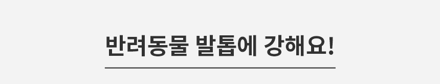 소파전문 페다소파, 제조 및 직판매 업체